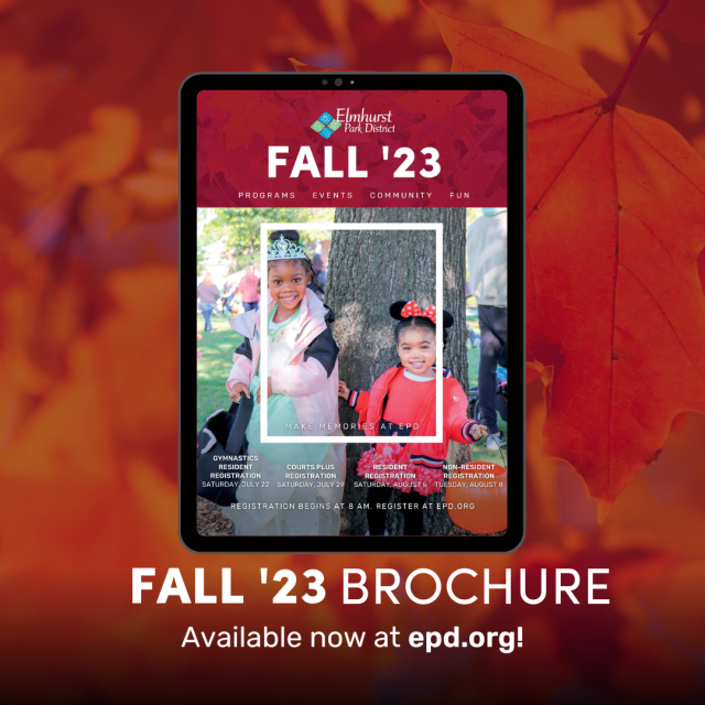 Fall Brochure now available | Courts Plus